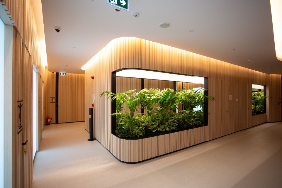 Seed Health & Wellness Center | Revolutionizing Healthcare